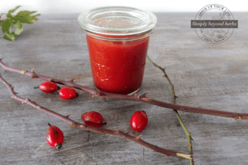 Raw Rose hips cookies are made of two ingredients only