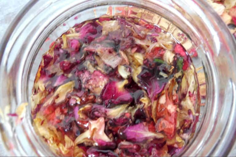 DIY rose oil for skin and hair - SimplyBeyondHerbs