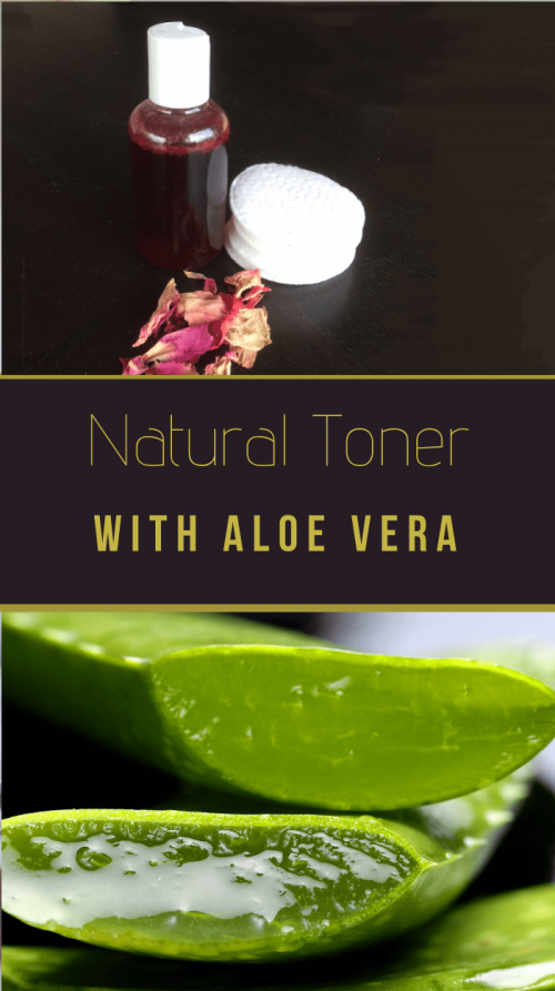 Rose Aloe vera: DIY facial toner for glowing skin - SimplyBeyondHerbs