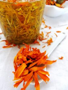 How to make Calendula oil and its uses for skin and hair ...