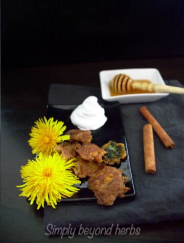Fried Dandelion Blossoms