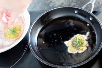 Fried Dandelion Blossoms