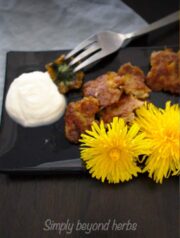 Fried Dandelion Blossoms