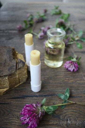 Lip balm recipe with shea butter for dry lips - SimplyBeyondHerbs