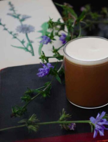 How to make chicory coffee from scratch - SimplyBeyondHerbs