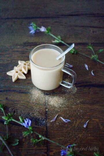 How to make chicory coffee from scratch - SimplyBeyondHerbs