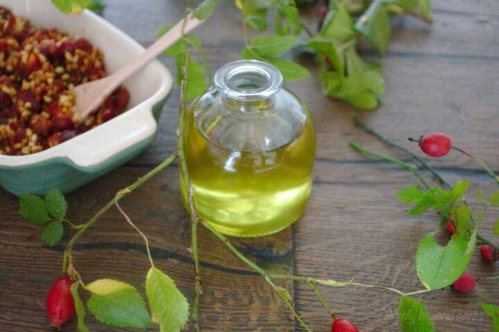 How to make rosehip oil + 15 ways to use it - SimplyBeyondHerbs