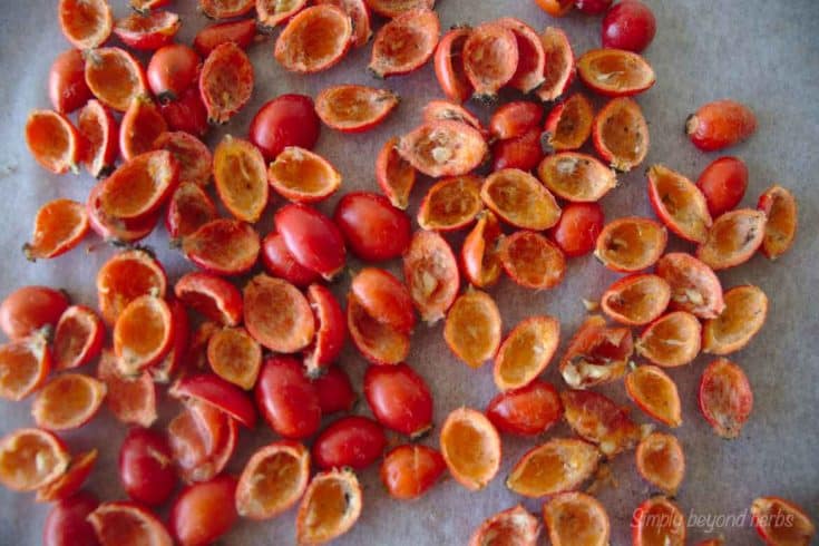 How to make Rosehip powder - SimplyBeyondHerbs