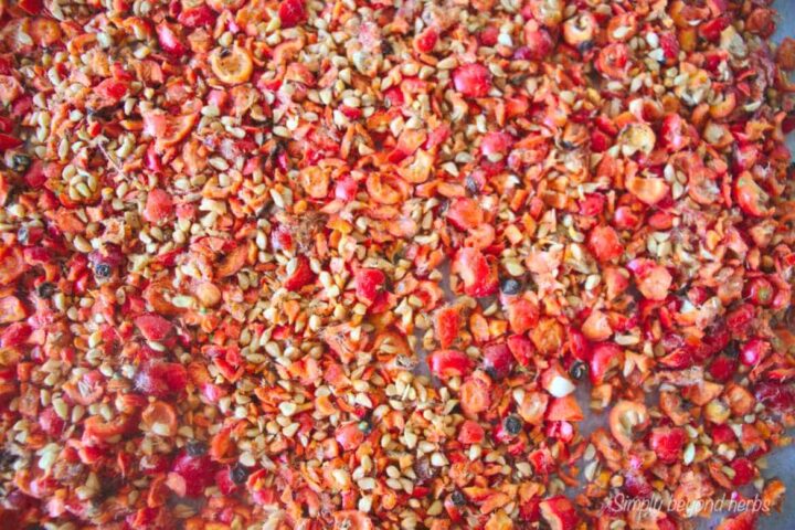 How to make Rosehip powder - SimplyBeyondHerbs
