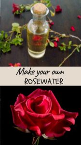 How to make rose hydrosol - SimplyBeyondHerbs