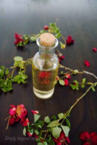 How to make rose hydrosol - SimplyBeyondHerbs