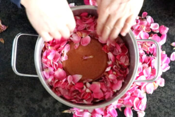 DIY rose oil for skin and hair - SimplyBeyondHerbs