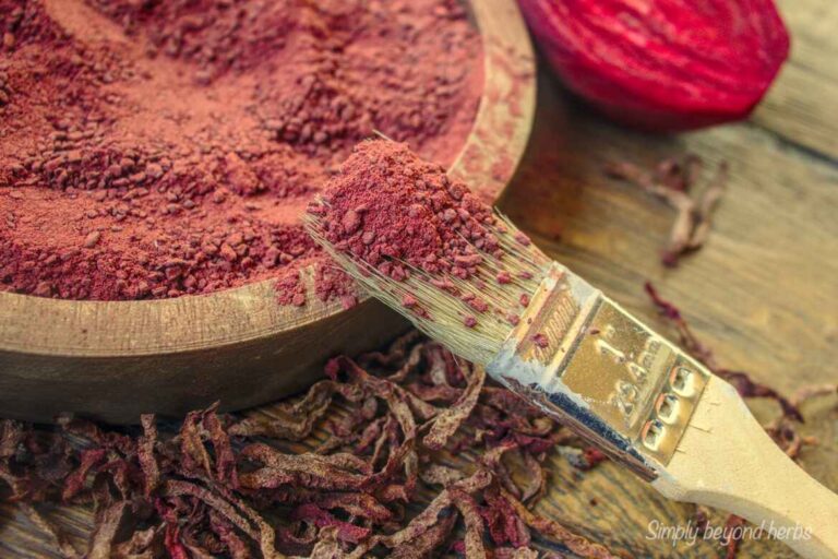 Beetroot powder recipe and its uses - SimplyBeyondHerbs