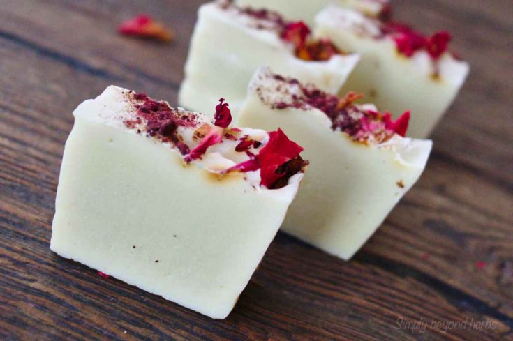 How to make rose soap to smooth your skin - SimplyBeyondHerbs