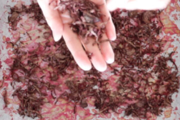 Beetroot powder recipe and its uses - SimplyBeyondHerbs