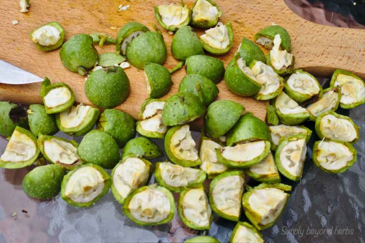 Preserving green walnuts in honey recipe - SimplyBeyondHerbs
