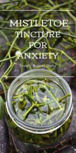 Mistletoe tincture for anxiety and stress relief - SimplyBeyondHerbs