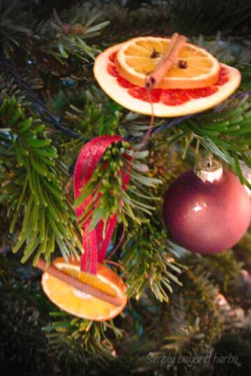 How to make dried Orange Clove Pomander balls for Christmas ...