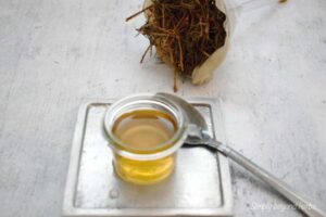 Spruce tip syrup recipe (2 methods) and its uses - SimplyBeyondHerbs