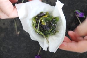 How to make Violet oil and its uses - SimplyBeyondHerbs