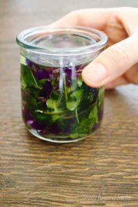 How to make Violet oil and its uses - SimplyBeyondHerbs