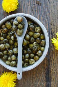 Dandelion capers and other pickled flower buds - SimplyBeyondHerbs
