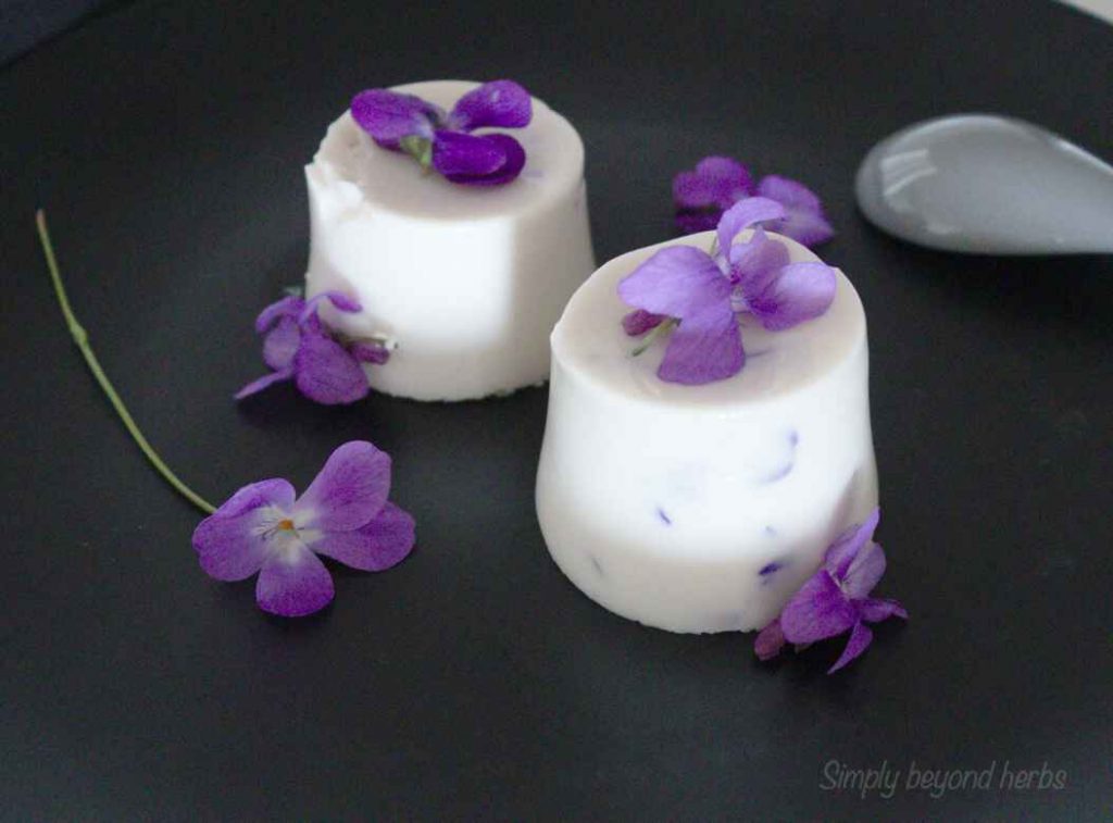 Violet Panna Cotta recipe - SimplyBeyondHerbs