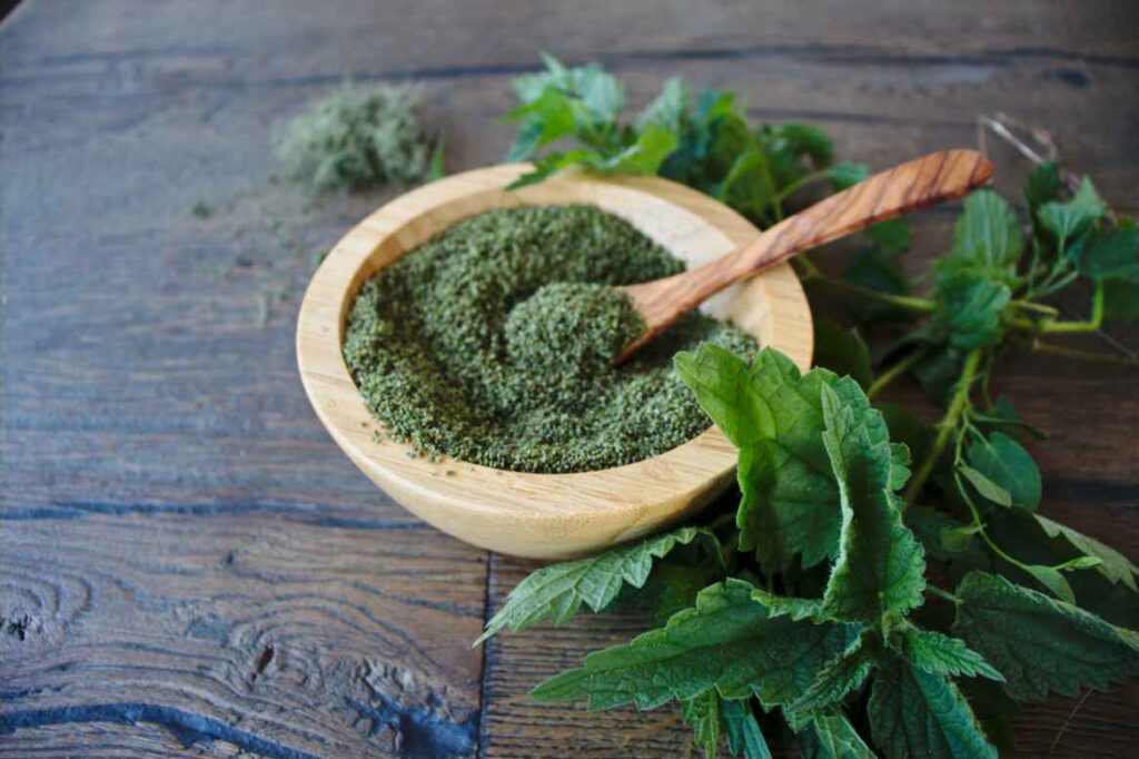 Benefits of stinging nettle seeds and their uses in recipes ...
