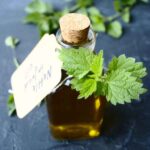 How to make Green Herb Oil using fresh herbs - SimplyBeyondHerbs