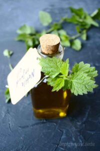How to make Nettle oil + its uses for skin and hair - SimplyBeyondHerbs