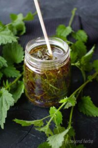 How to make Nettle oil + its uses for skin and hair - SimplyBeyondHerbs