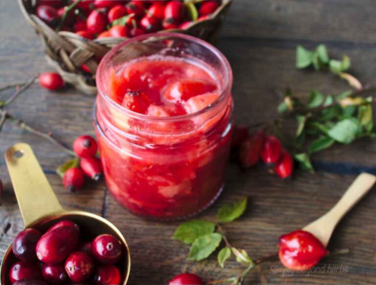 Healthy Cranberry rosehip sauce - vitamin C booster - SimplyBeyondHerbs