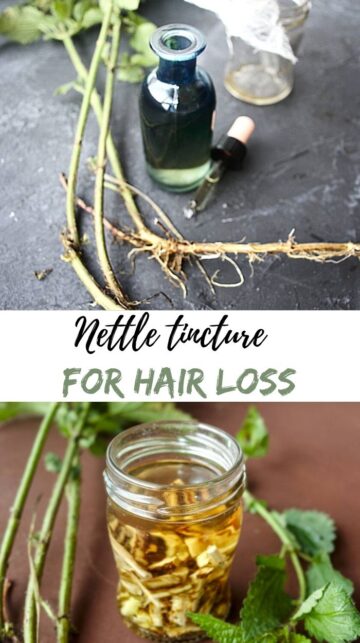 Stinging nettle root extract recipe - SimplyBeyondHerbs