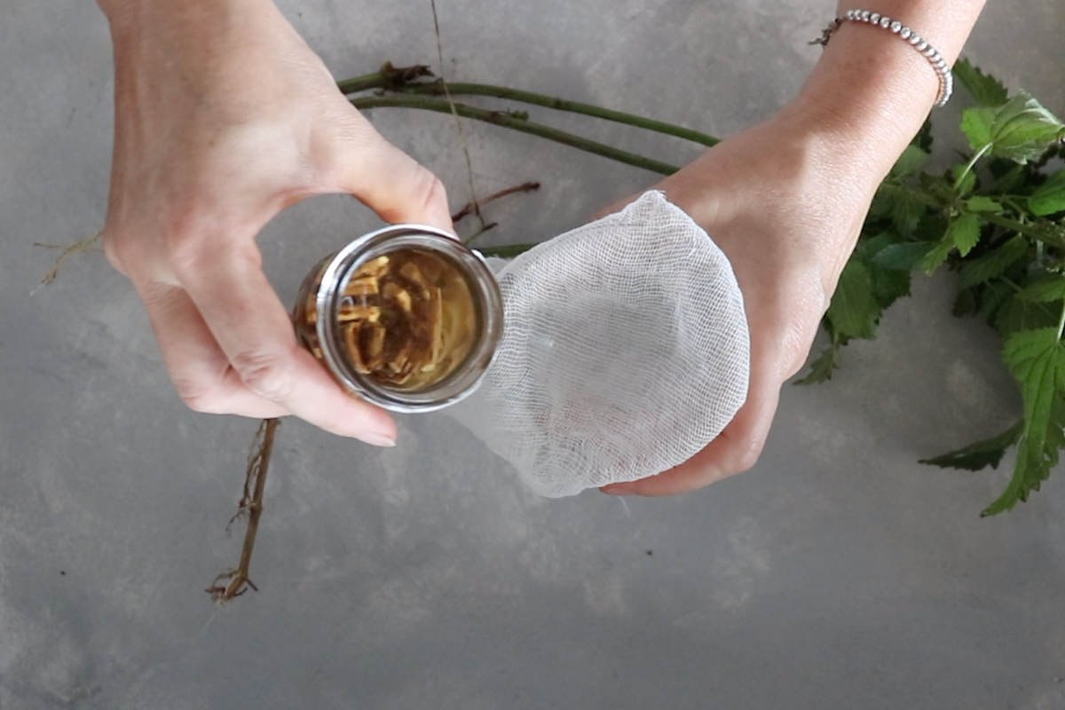 Stinging nettle root extract recipe - SimplyBeyondHerbs