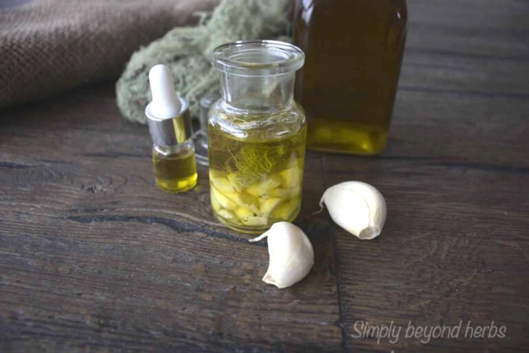 DIY garlic oil ear drops recipe - SimplyBeyondHerbs