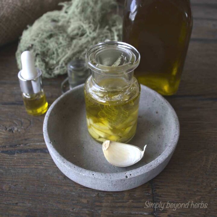 DIY garlic oil ear drops recipe - SimplyBeyondHerbs