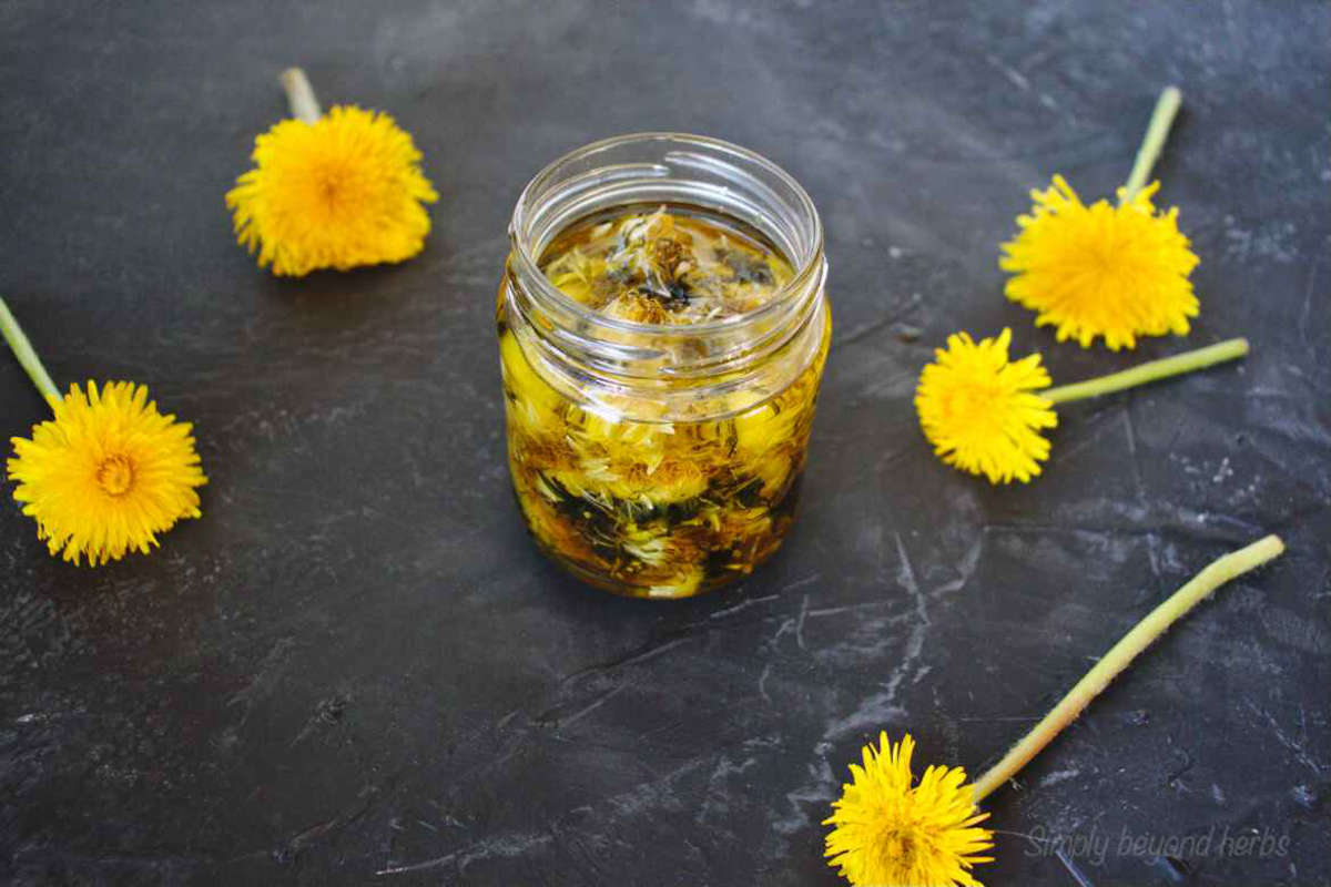 DIY Dandelion oil to heal your cracked and chapped hands