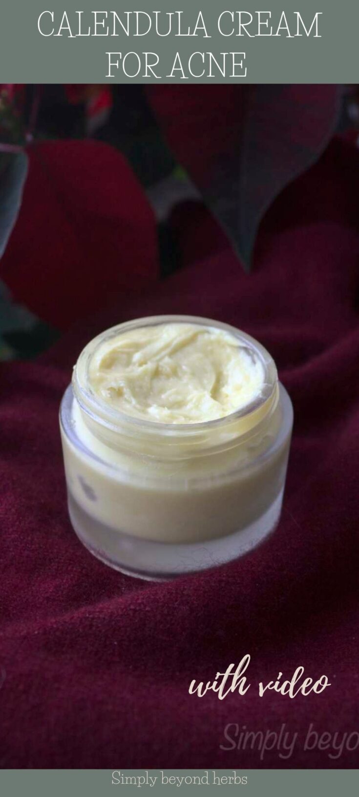 DIY Calendula cream - healing cream recipe - SimplyBeyondHerbs