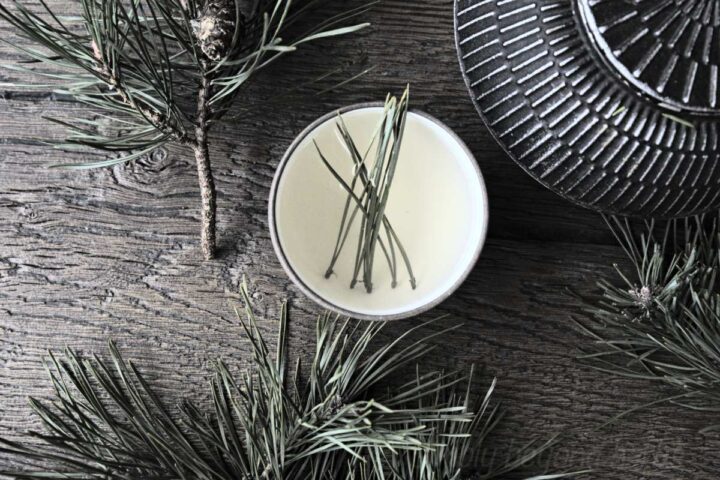 How to make Pine needle Tea and why is it good for you - SimplyBeyondHerbs