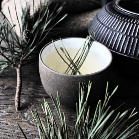 How to make Pine needle Tea and why is it good for you - SimplyBeyondHerbs