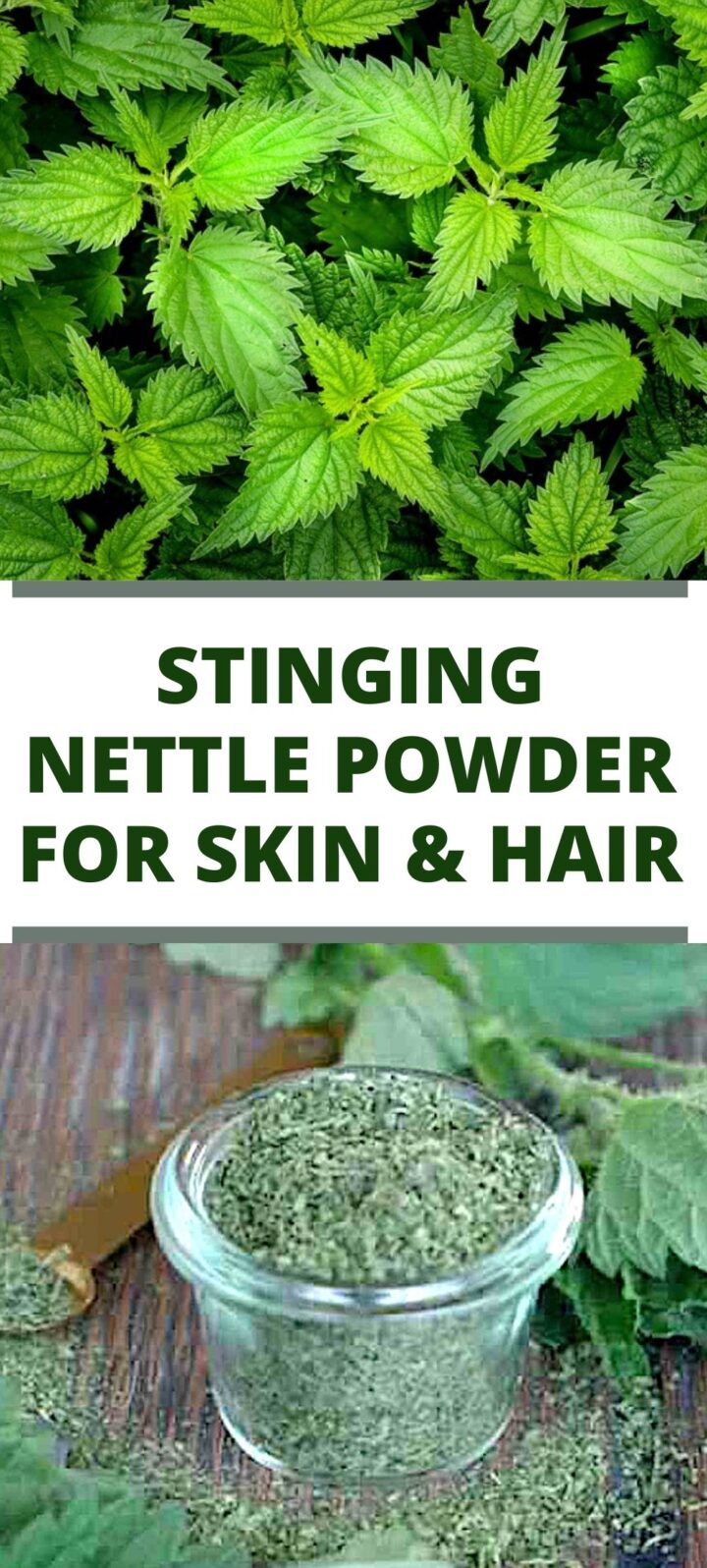 Superfood green nettle powder (and 10 ways to use it) - SimplyBeyondHerbs