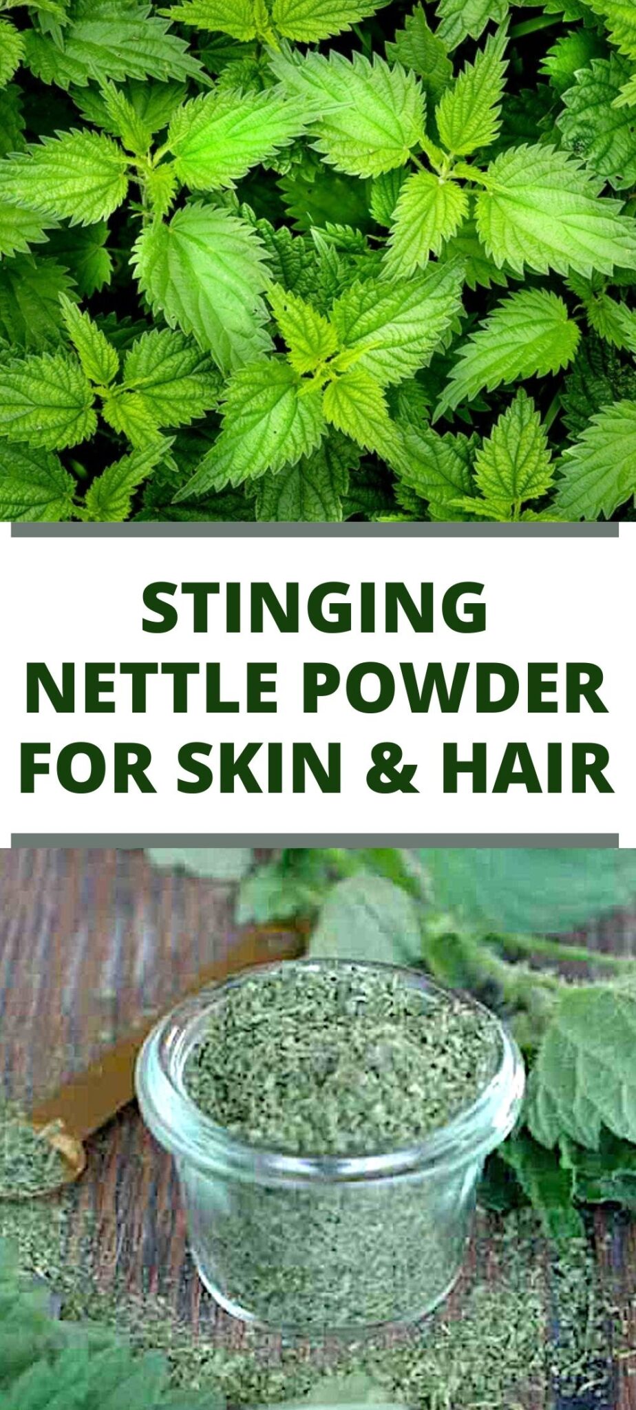 Superfood green nettle powder (and 10 ways to use it) - SimplyBeyondHerbs