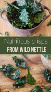 The Ultimate Guide to Stinging Nettle Recipes - SimplyBeyondHerbs