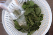 Superfood green nettle powder (and 10 ways to use it) - SimplyBeyondHerbs