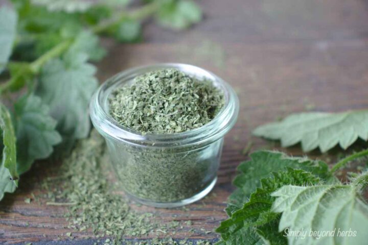 Superfood green nettle powder (and 10 ways to use it) - SimplyBeyondHerbs