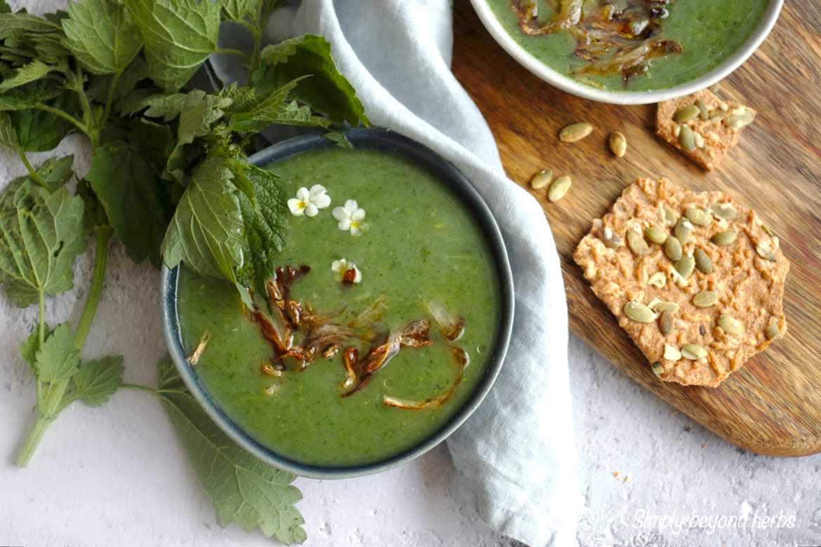 The Ultimate Guide to Stinging Nettle Recipes - SimplyBeyondHerbs