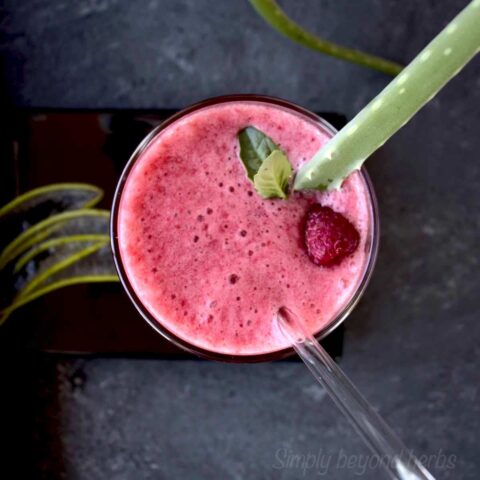 Aloe vera smoothie - SimplyBeyondHerbs