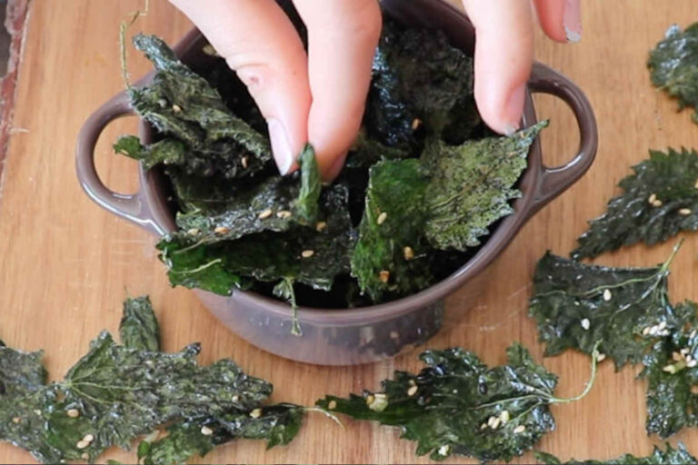 The Ultimate Guide to Stinging Nettle Recipes - SimplyBeyondHerbs