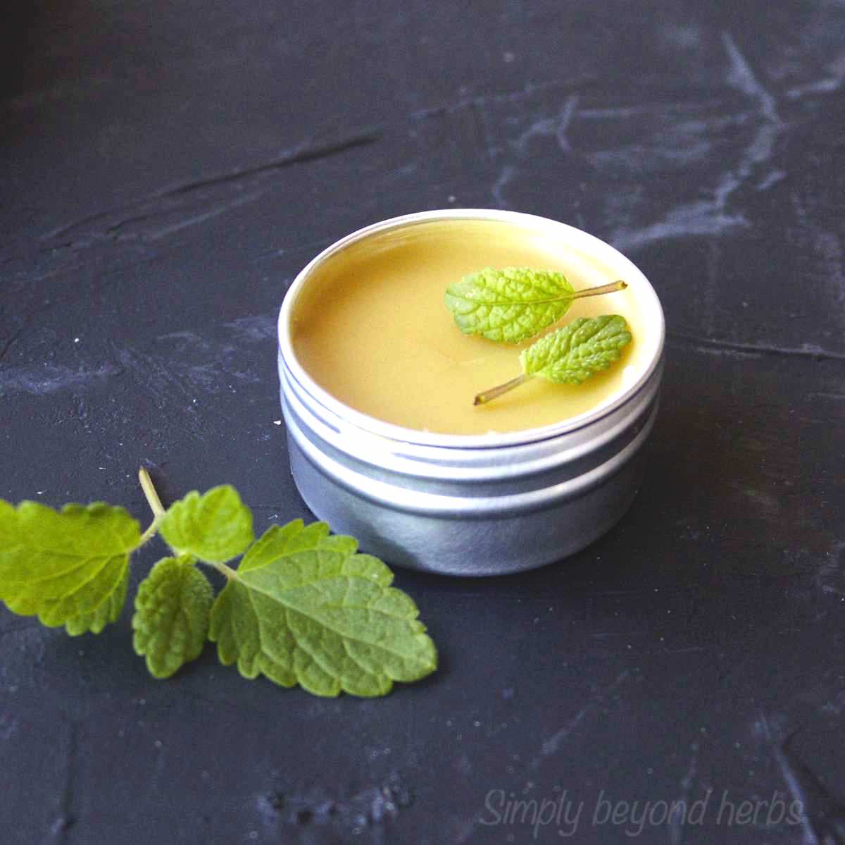Lemon balm lip balm for cold sore relief - SimplyBeyondHerbs
