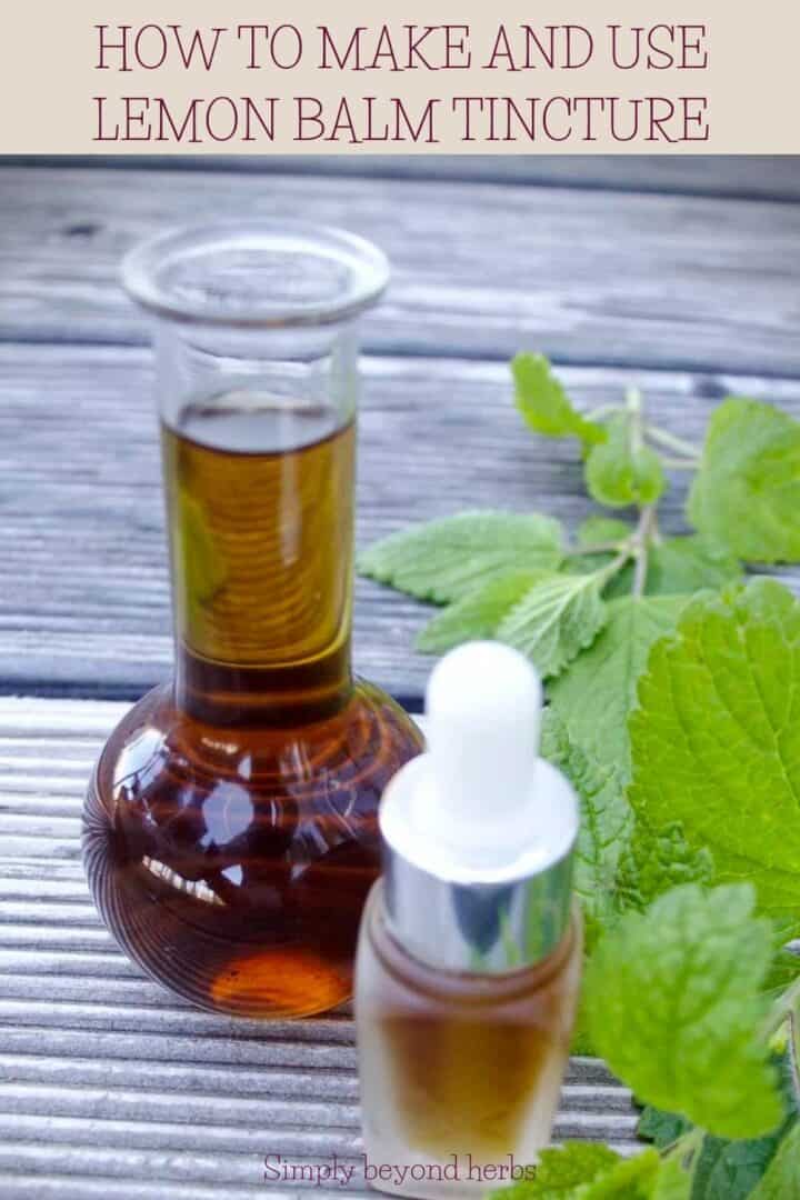How to make Lemon balm tincture - SimplyBeyondHerbs